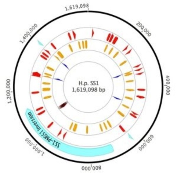 Real vs. Reference Genomes - BioTechniques