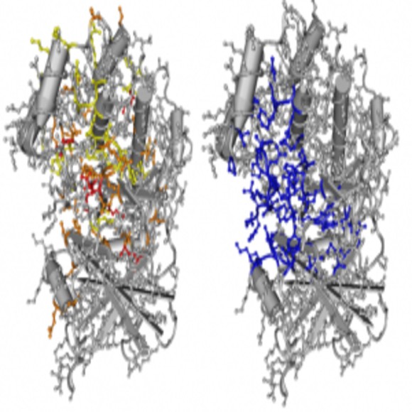 Revealing Thousands of Rare Cancer-Causing Mutations - BioTechniques