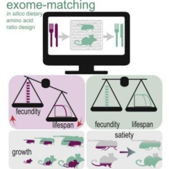 Genome-Based Diets - BioTechniques