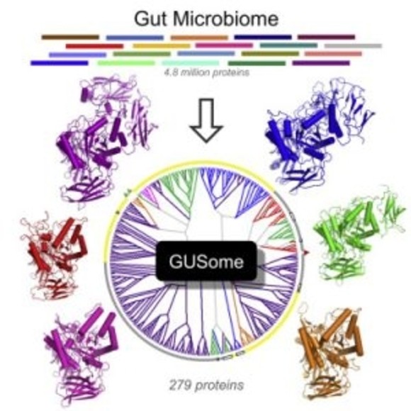 Medicated Microbiomes - BioTechniques
