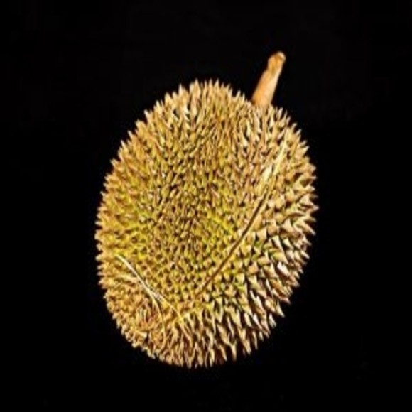 Durian Fruit Banned