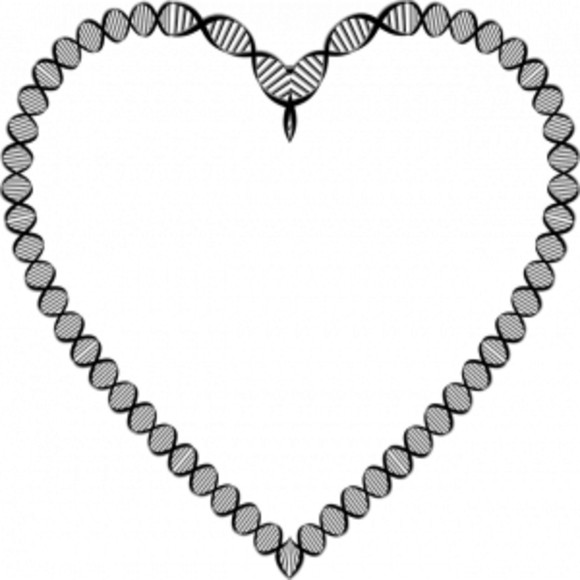 Unwrapping the Gift of DNA Ancestry Testing - BioTechniques