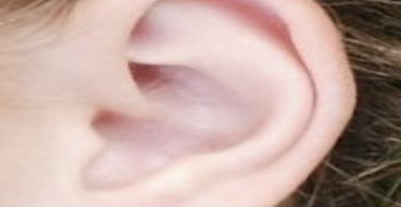 Earlobe Attachment is Not as Simple as You Thought - BioTechniques