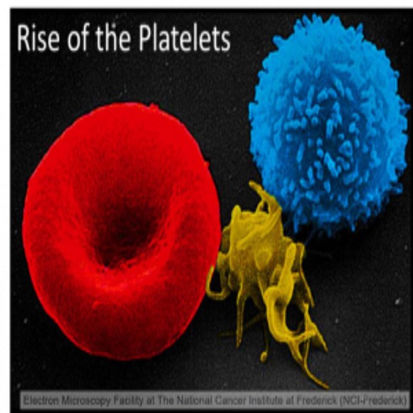 Platelets