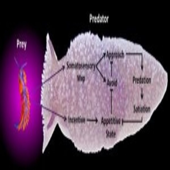 The Time of the Cyberslug Has Come - BioTechniques