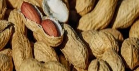 How Do You Test for Peanut Allergies? - BioTechniques