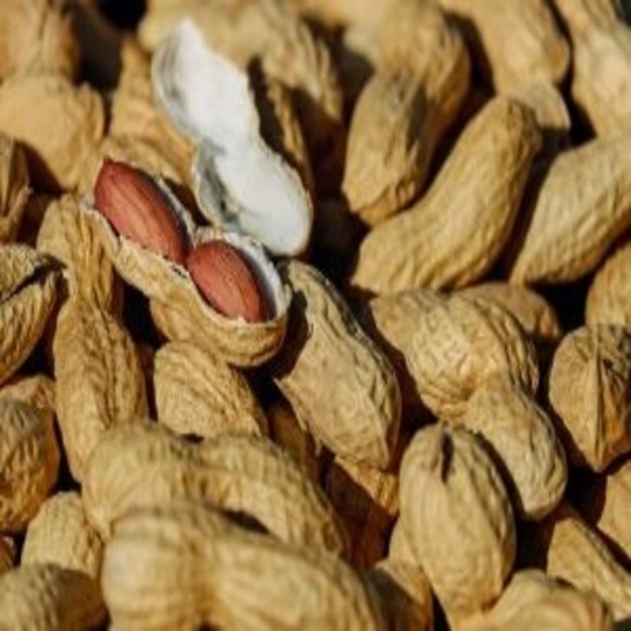 How Do You Test for Peanut Allergies? - BioTechniques