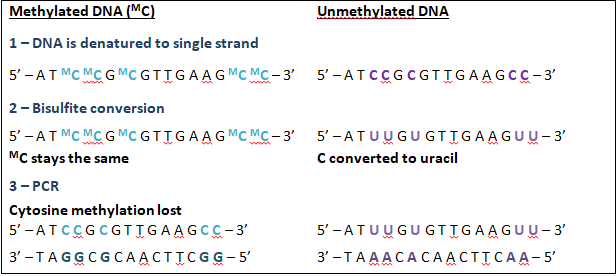 DNA Methylation Sequencing | Epigenetics - BioTechniques