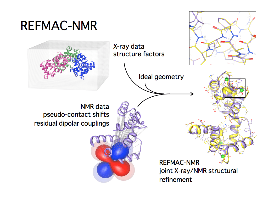 Paramagnetic NMR in Structural Biology - BioTechniques