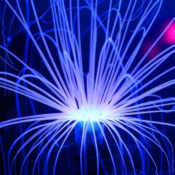 Experimental Biology 2019 | Orlando, USA - BioTechniques