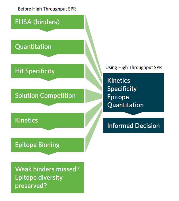 High Throughput SPR is Accelerating Biotherapeutic Discovery High Throughput SPR is Accelerating Biotherapeutic Discovery