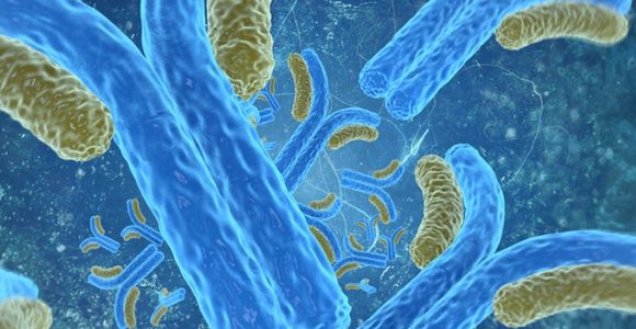 High Throughput SPR is Accelerating Biotherapeutic Discovery