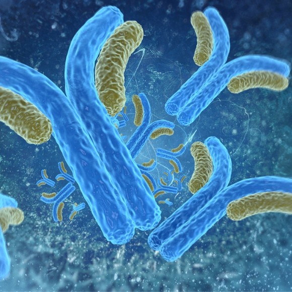 High Throughput SPR is Accelerating Biotherapeutic Discovery