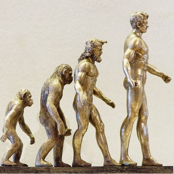 Divergent Human Transcription Factor Binding Sites - BioTechniques