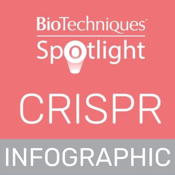 CRISPR infographic - BioTechniques