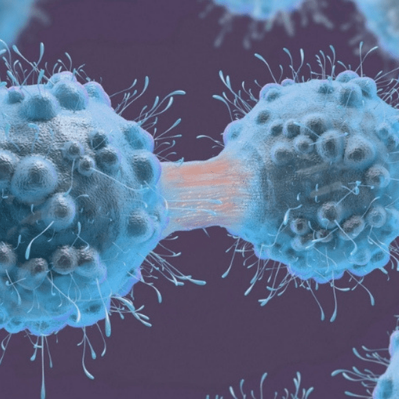 CTVT: an ancient parasitic cancer - BioTechniques