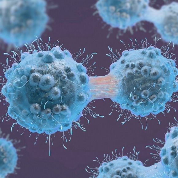 Live cell analysis handbook: a guide to real-time live-cell imaging and ...