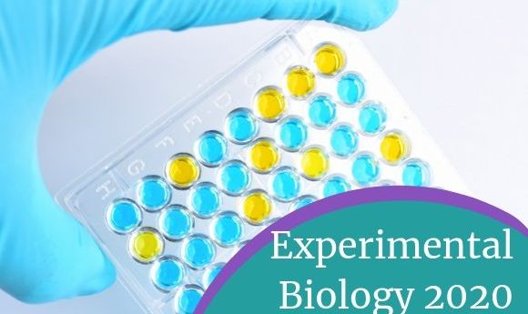 Experimental Biology 2020 - BioTechniques