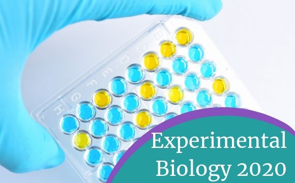 Experimental Biology 2020 - BioTechniques