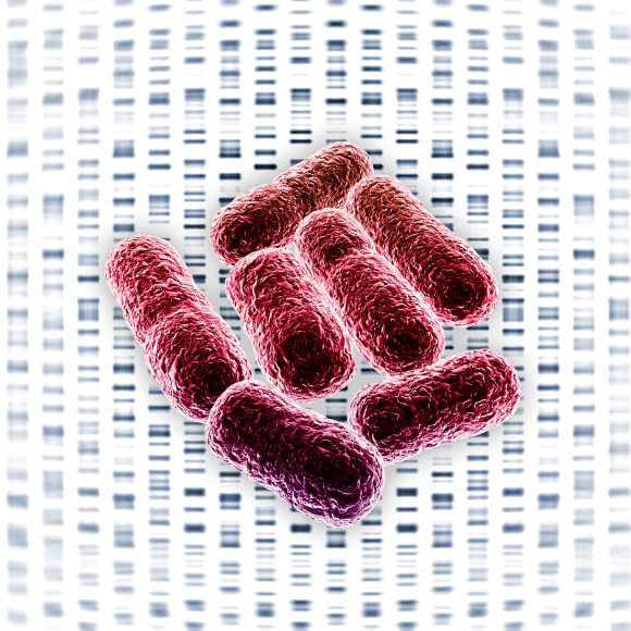 Understanding Gut Microbiota Metabolomics - BioTechniques