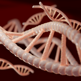 Tips for Extracting DNA from Insects - BioTechniques