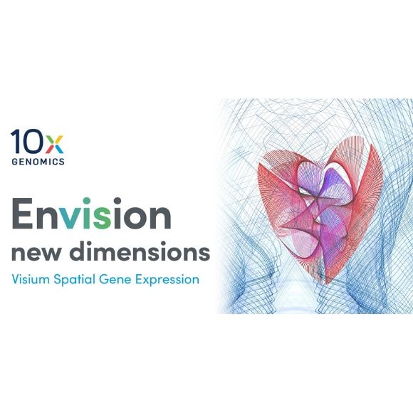 10x Genomics – Visium Spatial Gene Expression Solution Roadshow ...