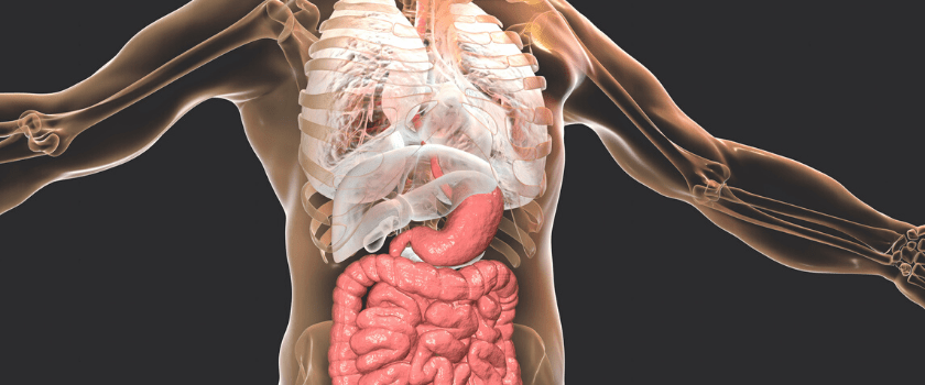 Body-on-a-Chip Could Revolutionize Drug Discovery - BioTechniques