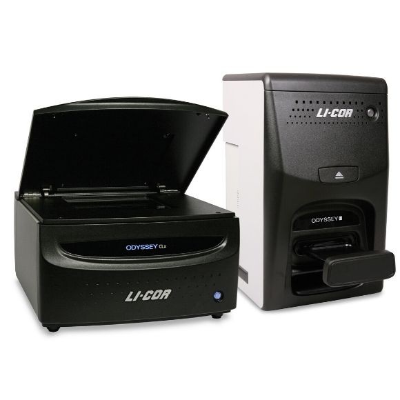 Abcam and LI-COR jointly author new JBC manuscript promoting industry ...