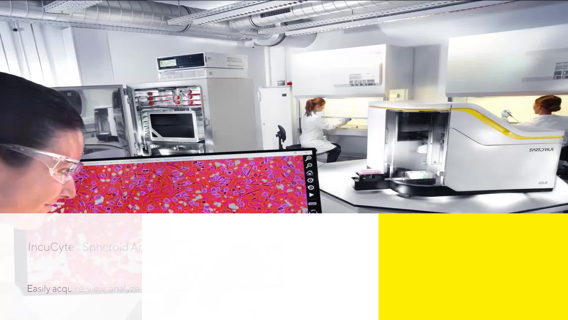 Introducing the IncuCyte spheroid analysis software module - BioTechniques