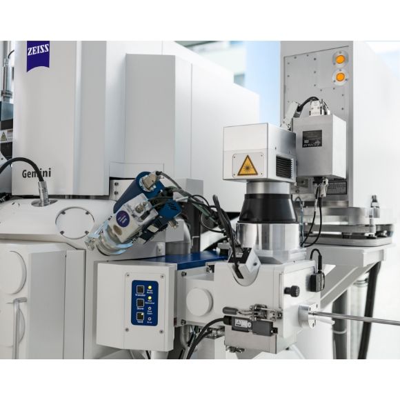 ZEISS enhances efficiency in multi-scale and multi-modal workflows ...