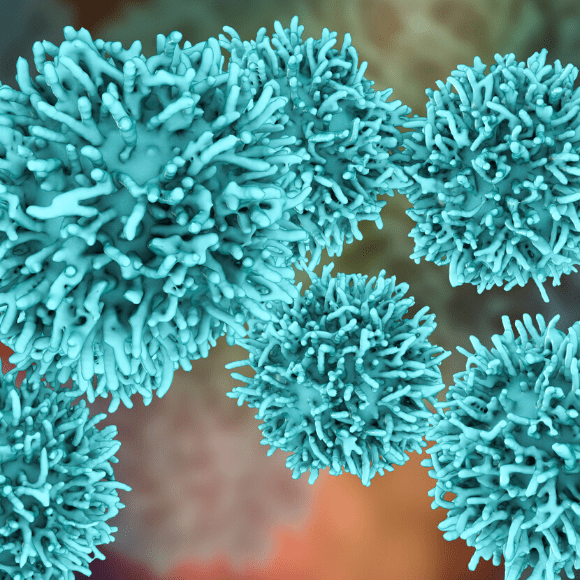 Multicellular Tumor Spheroids in Cancer Drug Discovery - BioTechniques