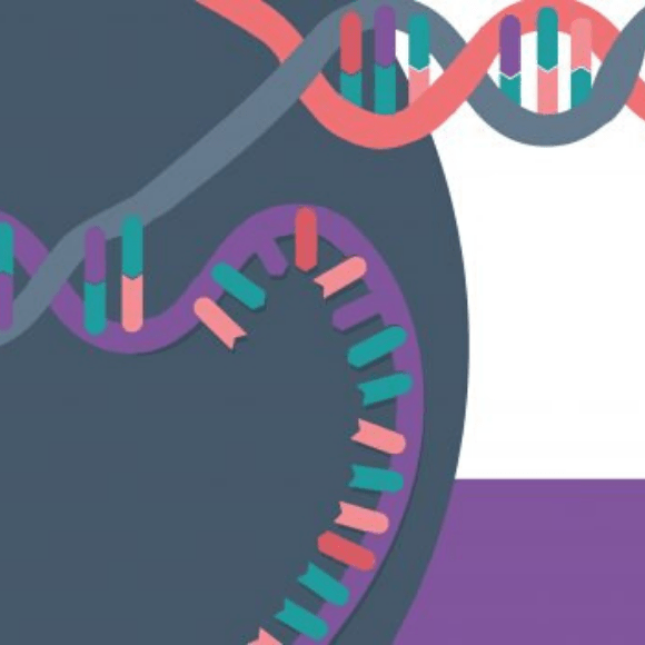 RNA Sequencing Library Preparation And Construction - BioTechniques