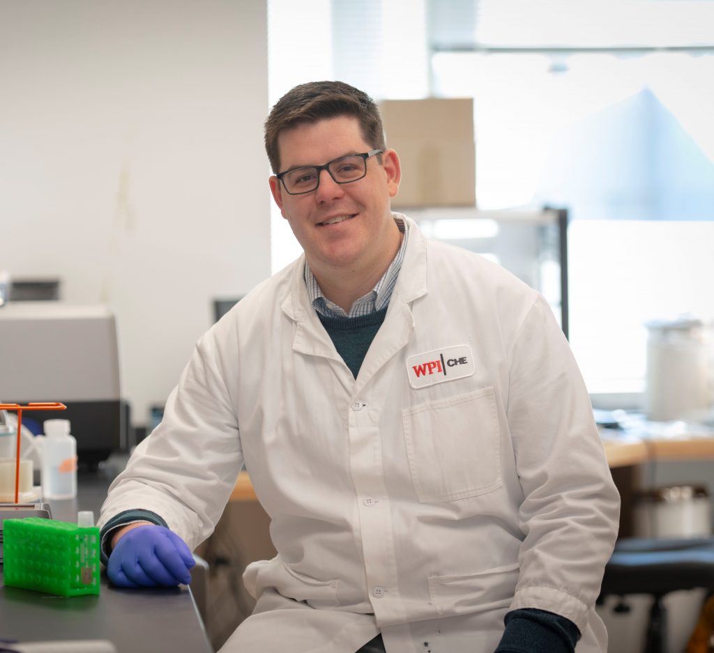 Using Fungal Networks to Detect Explosives - BioTechniques