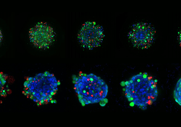 The Mummy Returns: Nesyamun ‘Speaks’ Again - BioTechniques