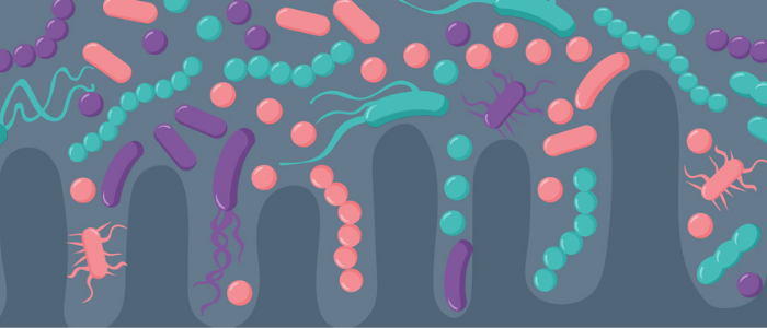 Reproducibility in Microbiomics In Focus - BioTechniques