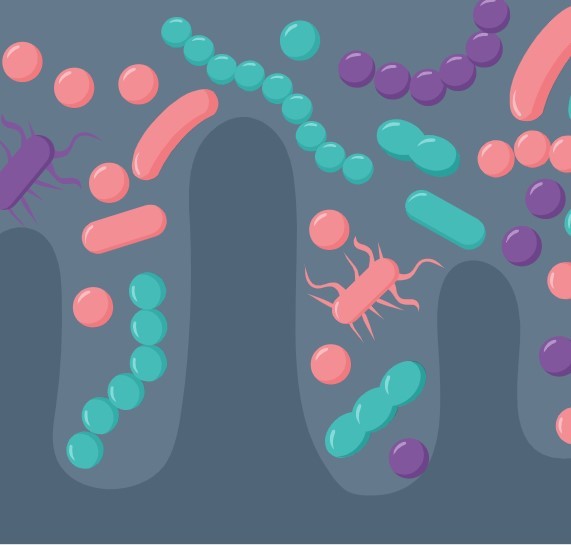 Talking Techniques | Reproducibility in microbiomics - BioTechniques