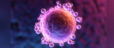 Egg Cell Growth Mechanism Uncovered - BioTechniques