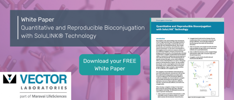 Quantitative and Reproducible Bioconjugation with SoluLINK® Technology ...