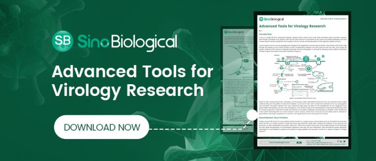 Scientific Article: Advanced tools for virology research - BioTechniques