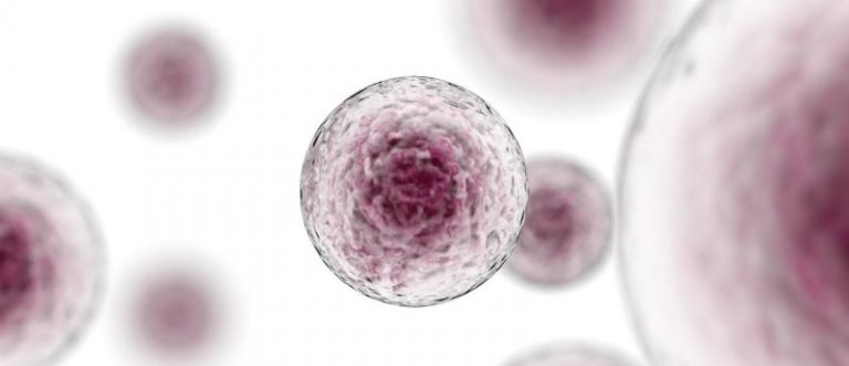 Featured journal article: Organoid model of urothelial cancer ...