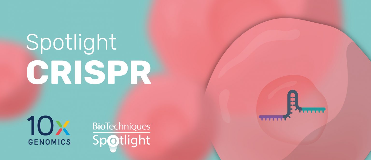 Using CRISPR for Therapeutic Drug Discovery - BioTechniques