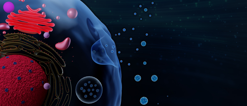 Tips and best practices to optimize your exosome labeling - BioTechniques