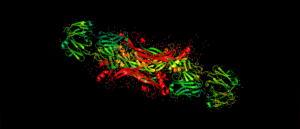 Researchers Develop Novel Fluorescent Amino Acid - BioTechniques