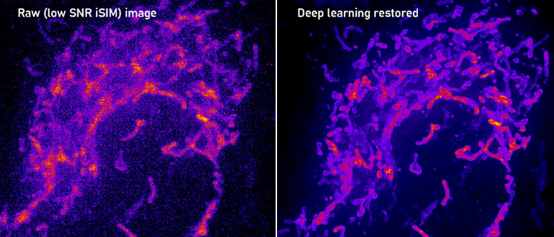 Introduction to AI Image Analysis in Microscopy - BioTechniques
