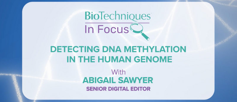 Detecting DNA methylation in the human genome - BioTechniques