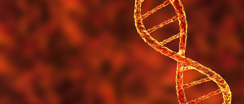 10xcrisprsptl_CRISPR in Large Animal Models - BioTechniques