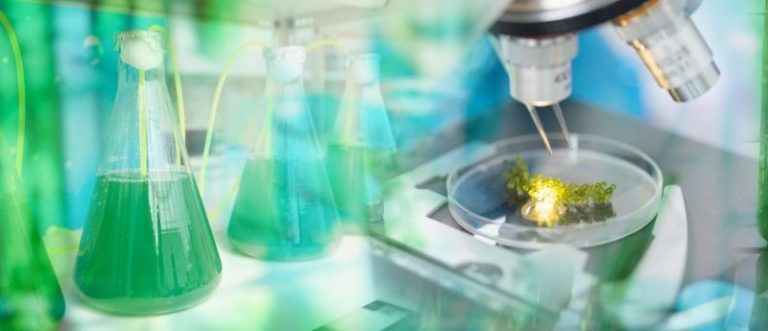 Reviewing the Top 10 Innovations of 2021 - BioTechniques