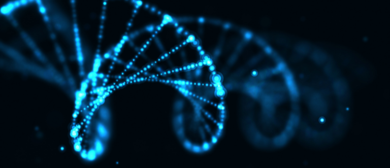 Comparison of Agilent Femto Pulse system sizing with long-read ...