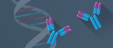 Infographic: Tips for BrdU labeling experiments - BioTechniques