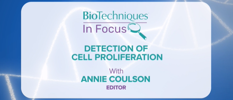 Detection Of Cell Proliferation Biotechniques